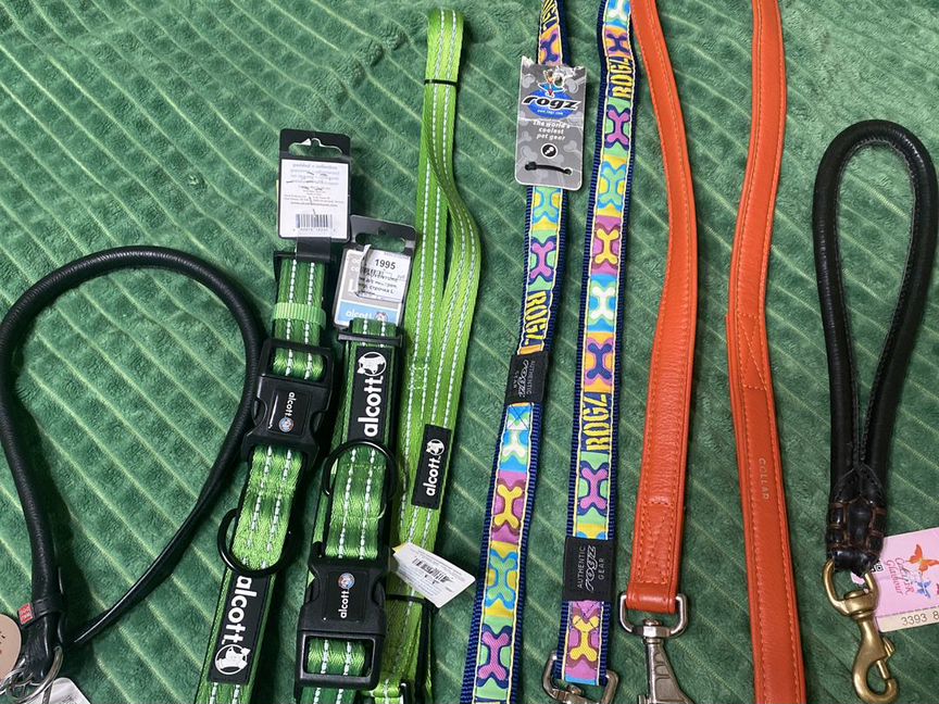 Амуниция для собак