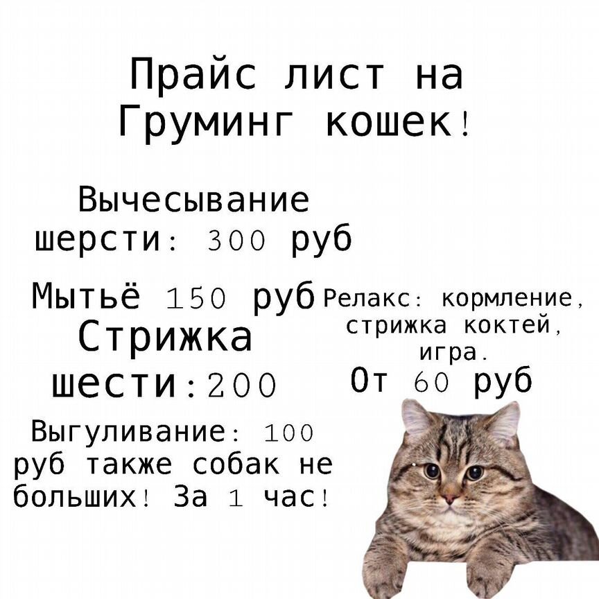 Гурминг собак и кошек