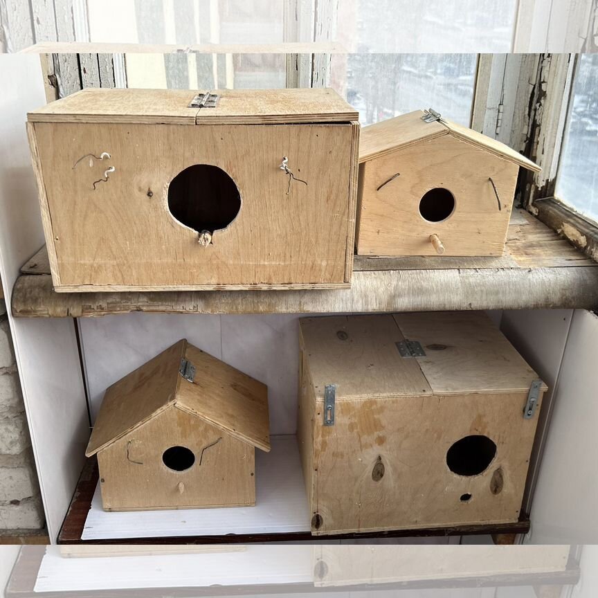 Гнездо для попугаев