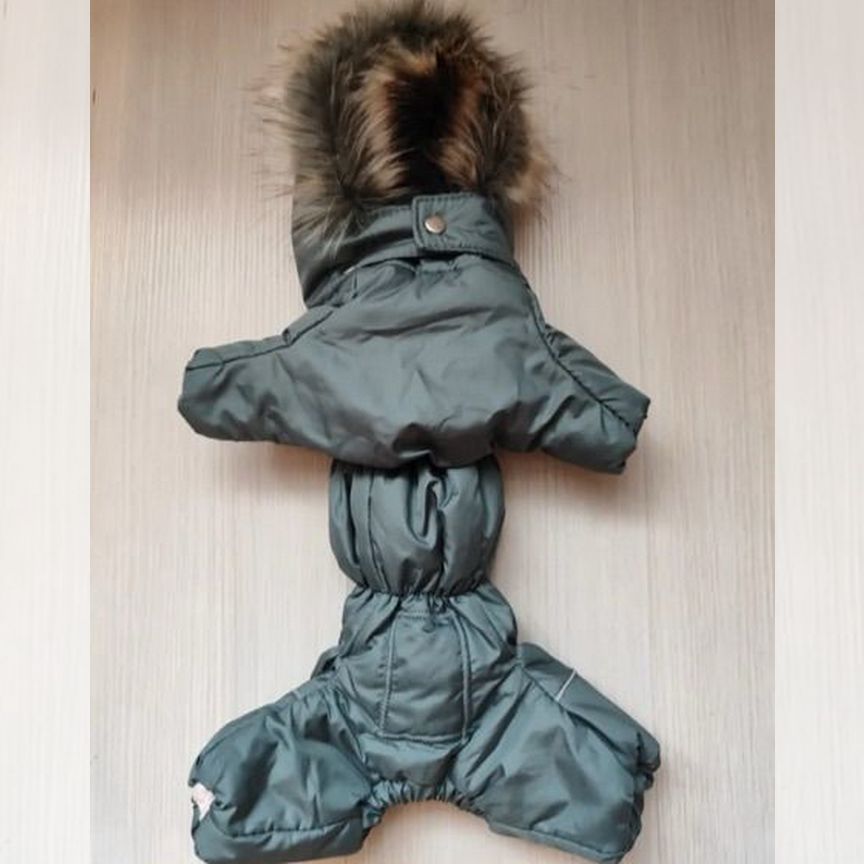 Одежда для собак