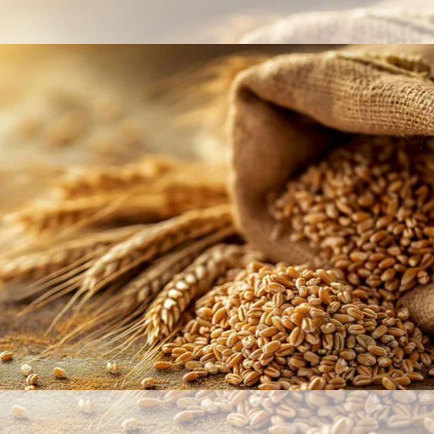 Пшеница в мешках