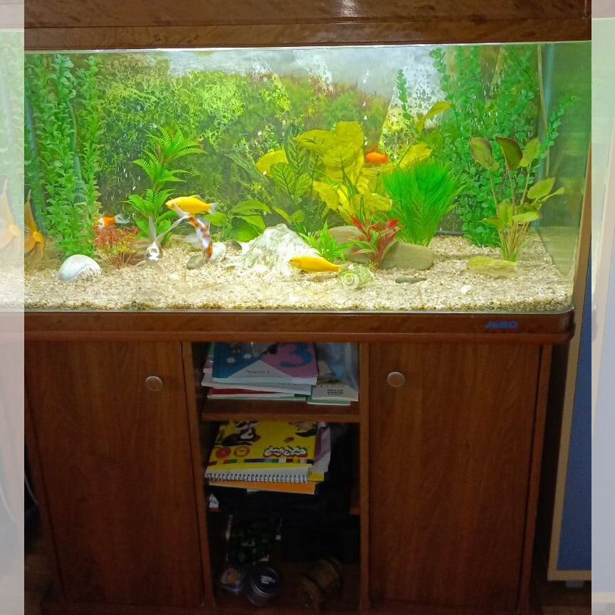 Аквариум 104см