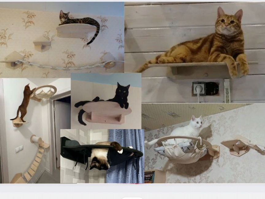 Комплексы и аксессуары для котиков