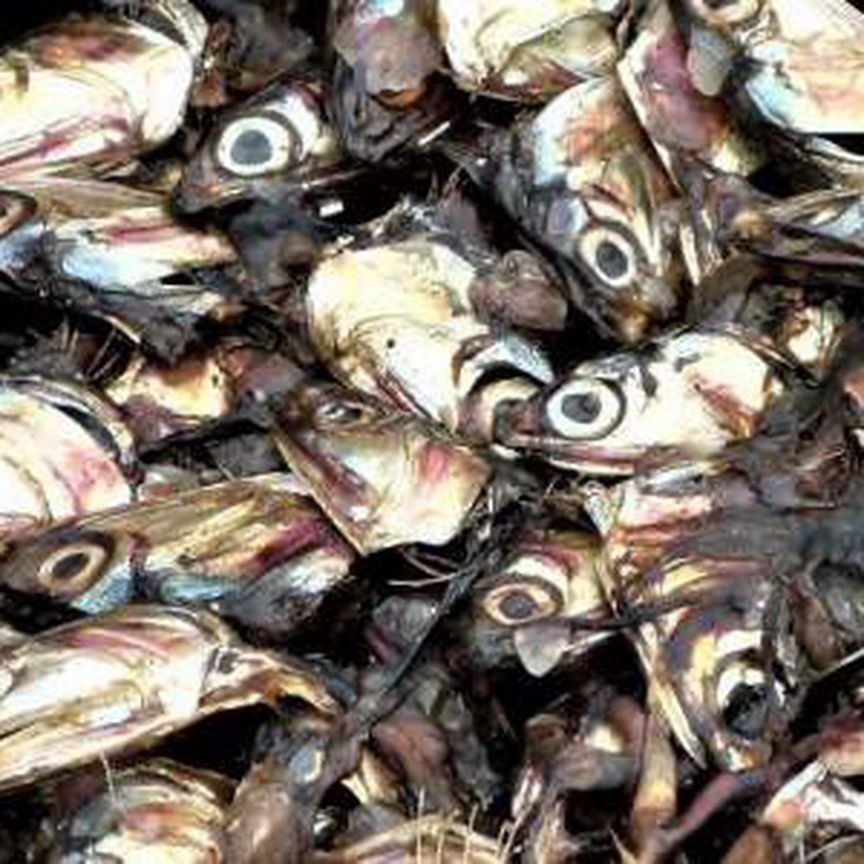 Рыбные отходы