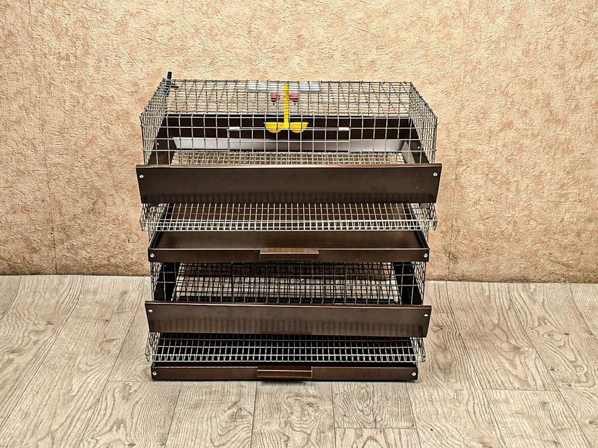 Клетка для перепелов