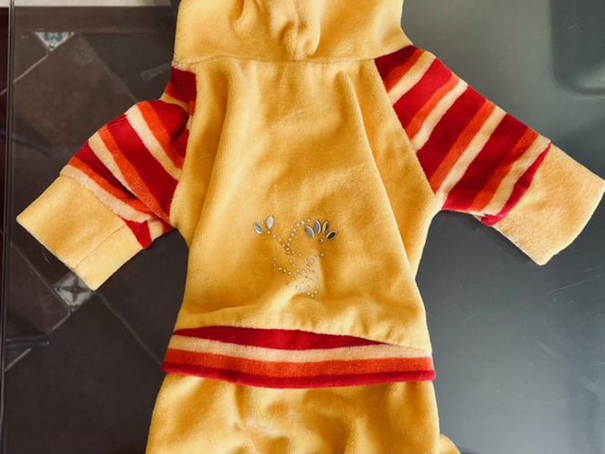 Комбинезон для чихуахуа, фурминатор, миска