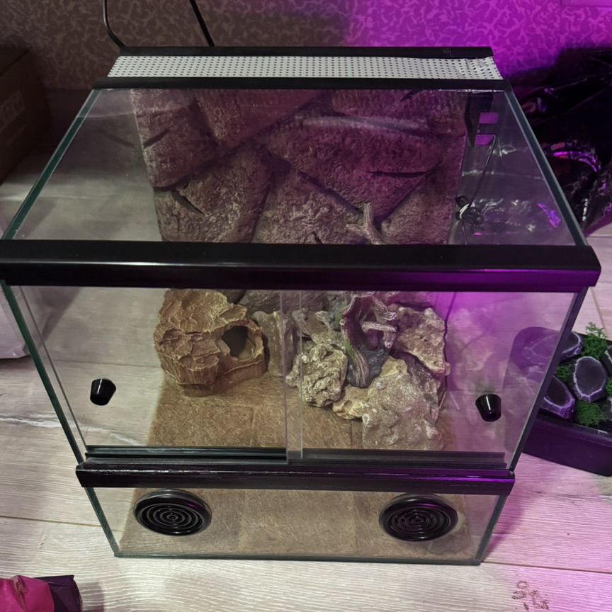 Террариум с влажной камерой