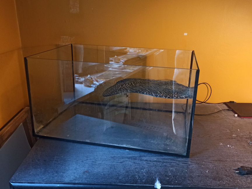 Террариум для водной черепахи