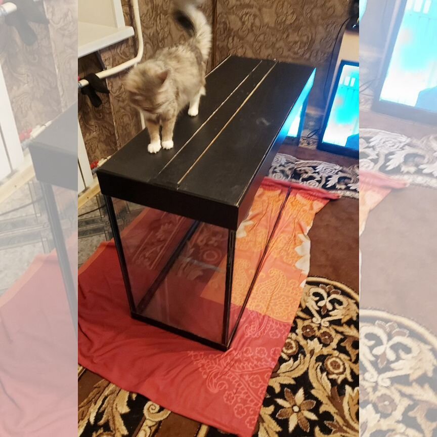 Аквариум 400л