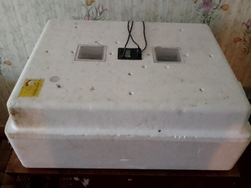 Инкубатор для яиц