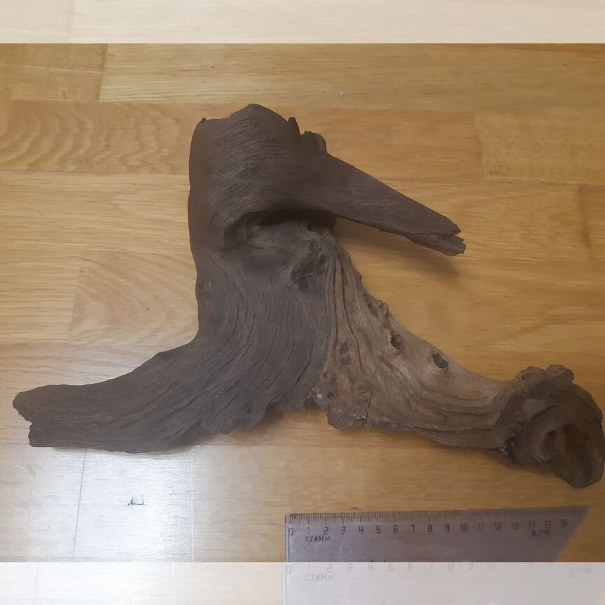 Коряга в аквариум/террариум