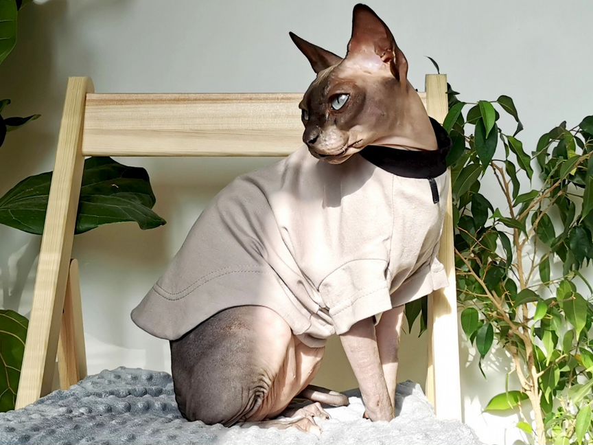 Футболка для сфинкса