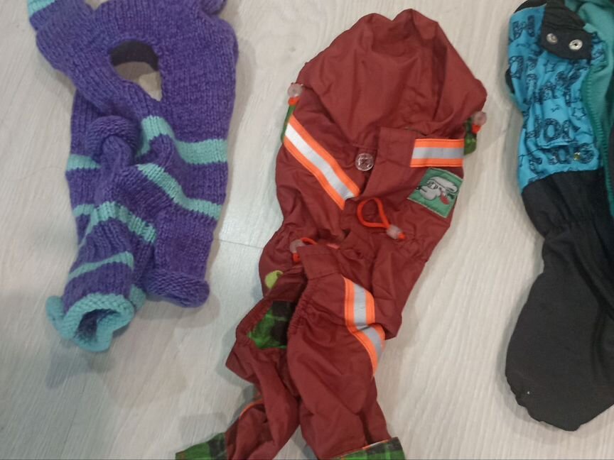 Одежда для маленьких пород собак