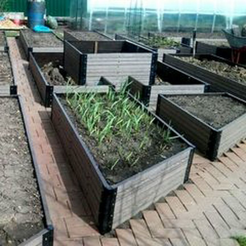 Подсадные утки