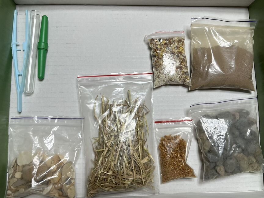 Камни/песок для формикария, корм для муравьев