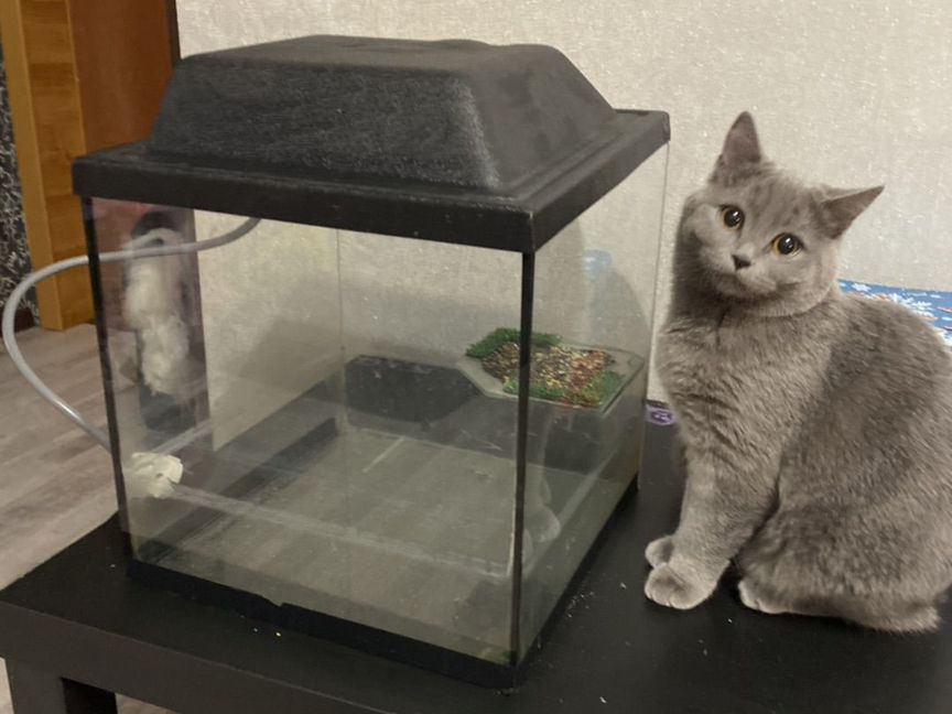 Аквариум для черепахи