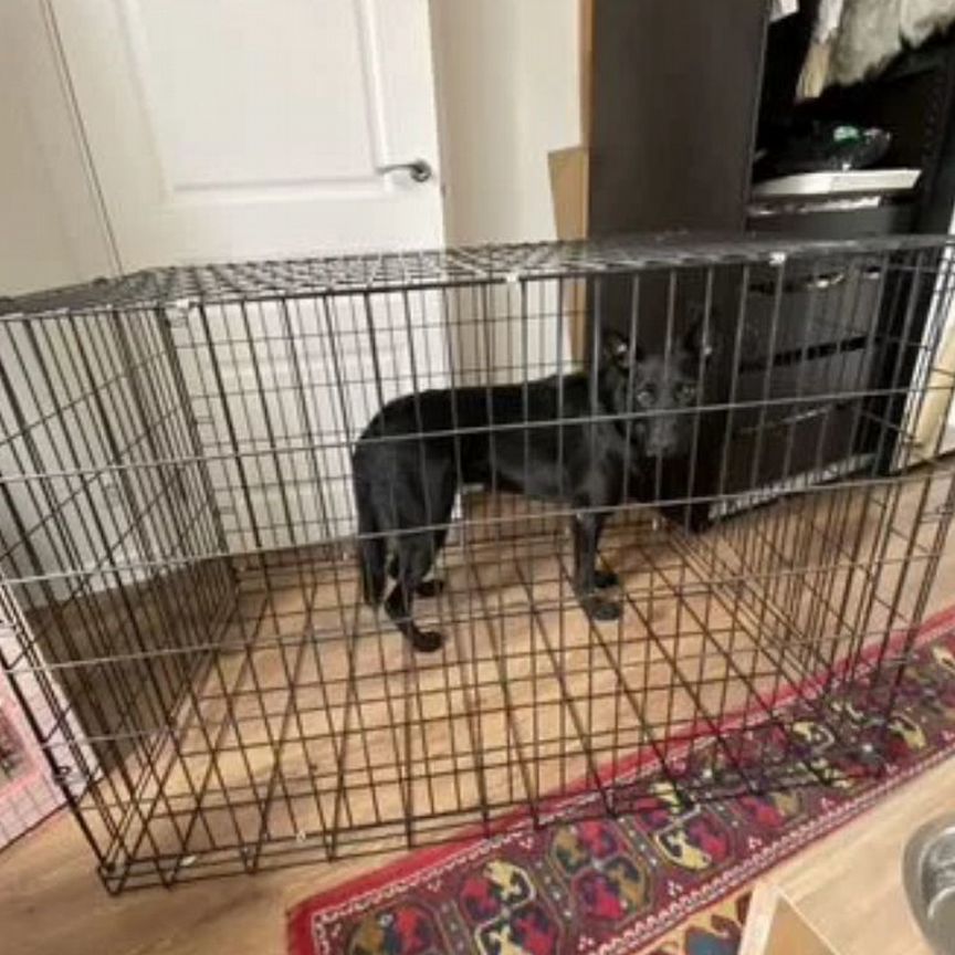 Клетка вольер для собак