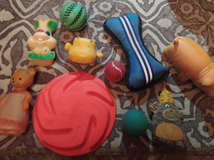 Игрушки для собак