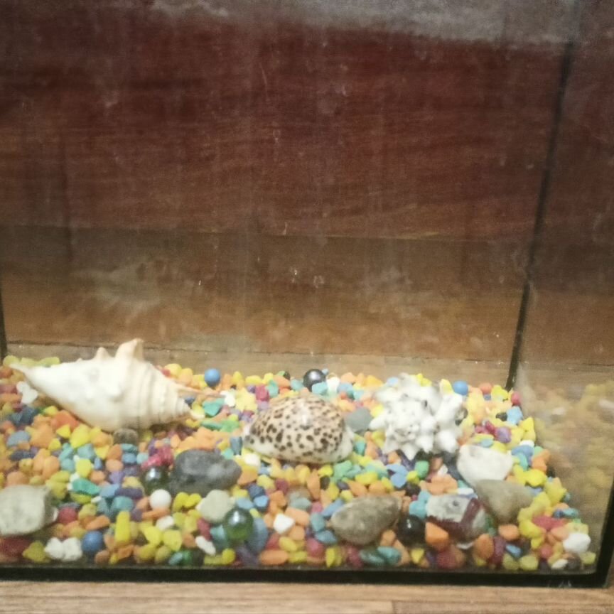 Аквариум,ракушки,фильтр