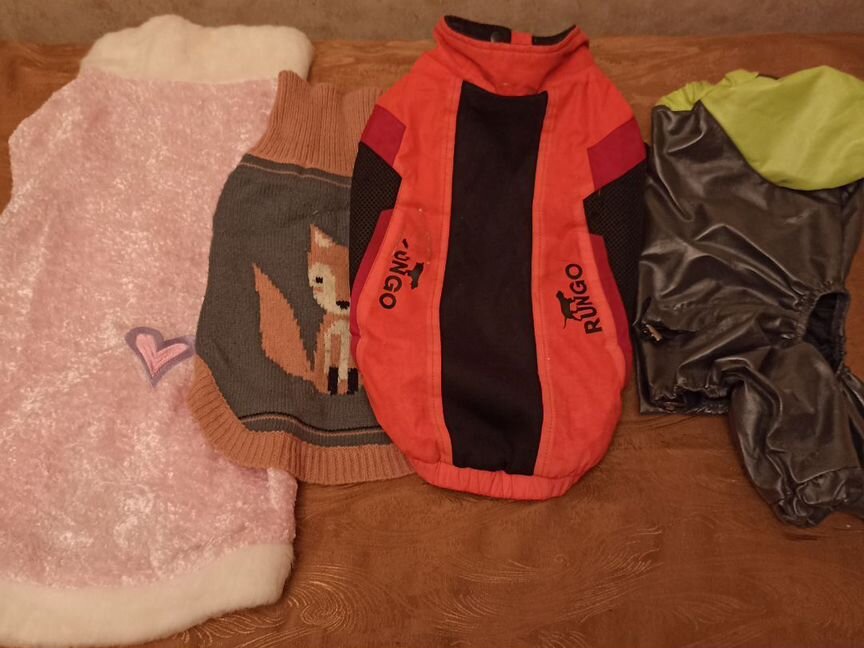 Комбинезон для собаки