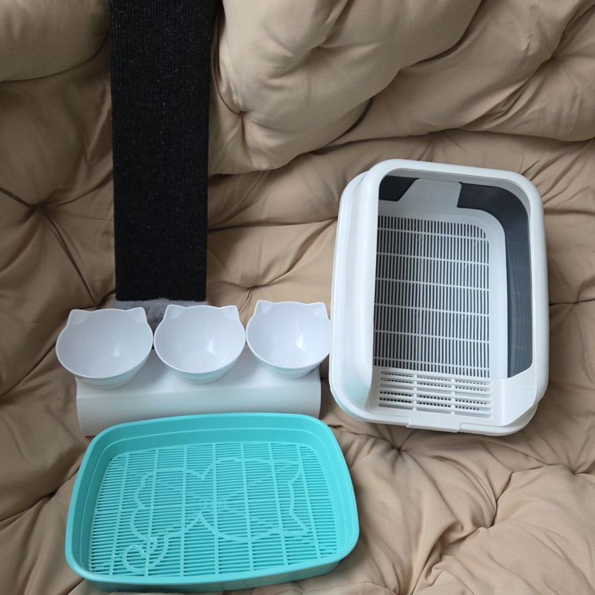 Кошачьи аксессуары