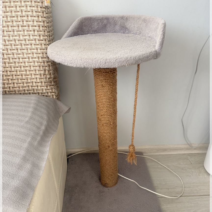 Когтеточка