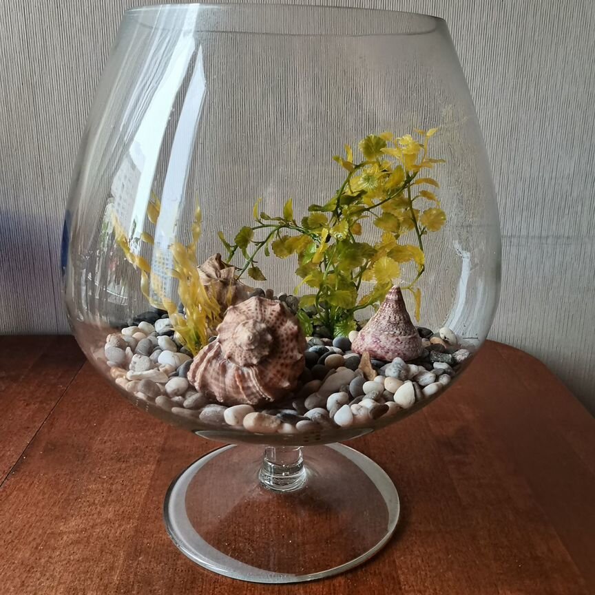 Аквариум круглый, камушки, ракушки, водоросли