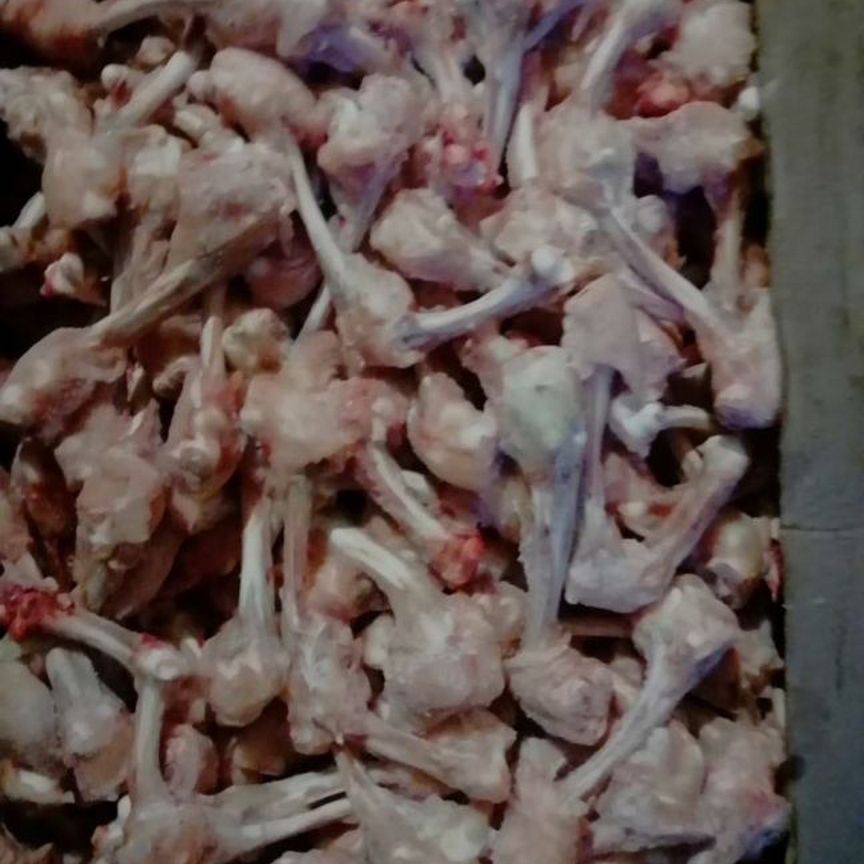 Куриные кости для собак