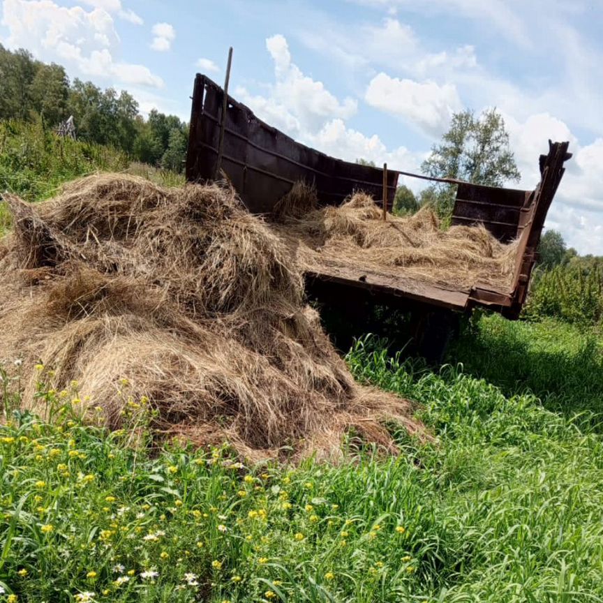 Кормушка для коров