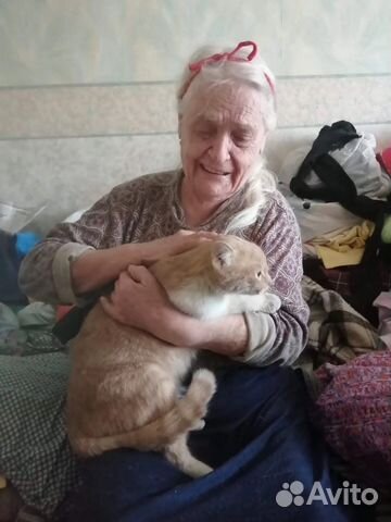 Помочь бабуле пристроить котиков