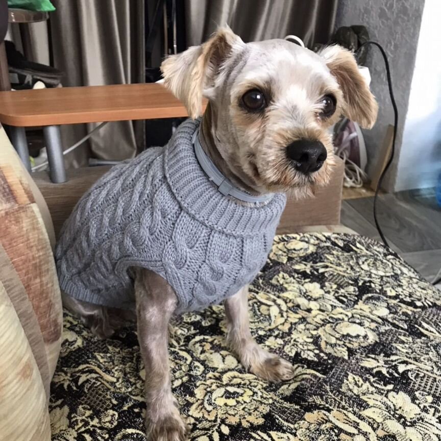 Вязка йорк станарт мальчик бесплатно