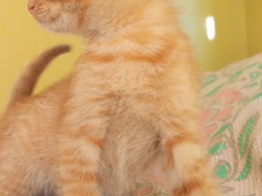 Мальчик-солнышко