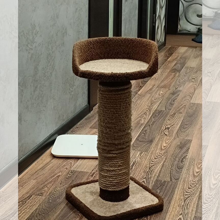 Когтеточка