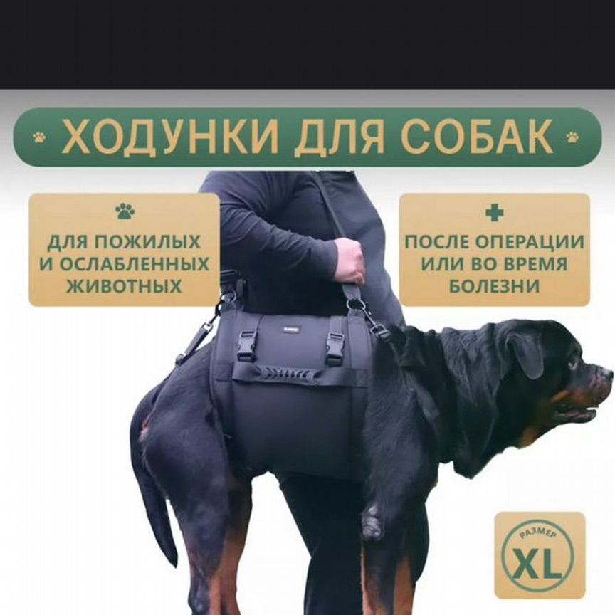 Ходунки /переноска для собак