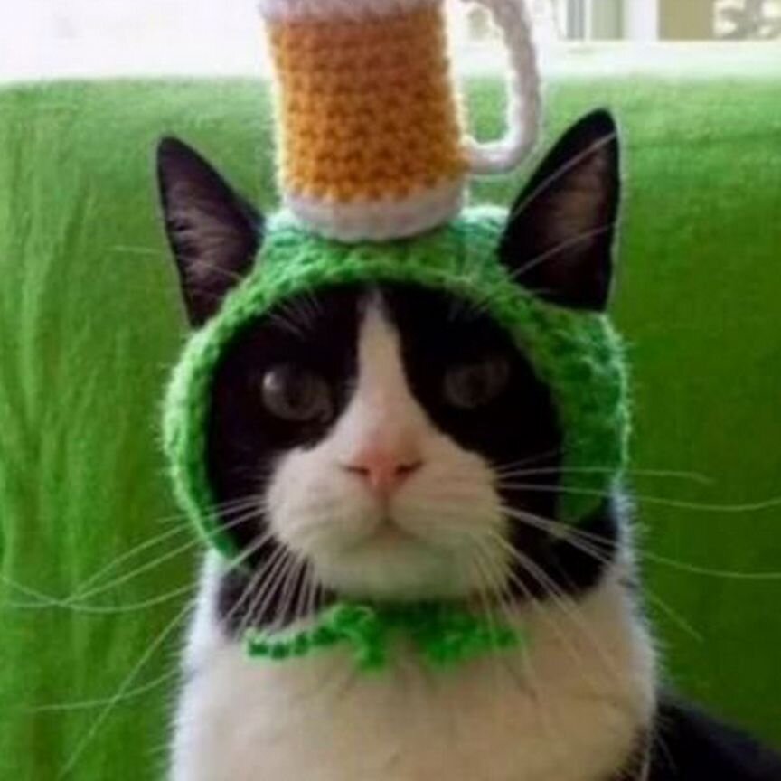 Котёнок от частного владельца