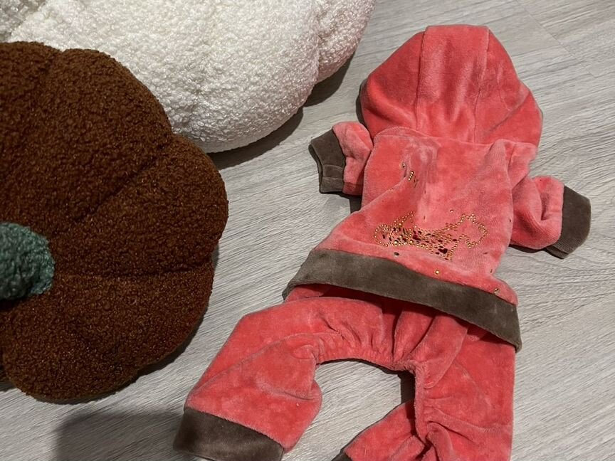 Одежда для собак мелких пород