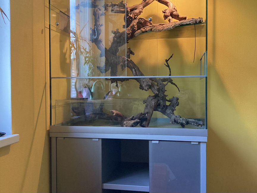 Террариум для рептилий бу