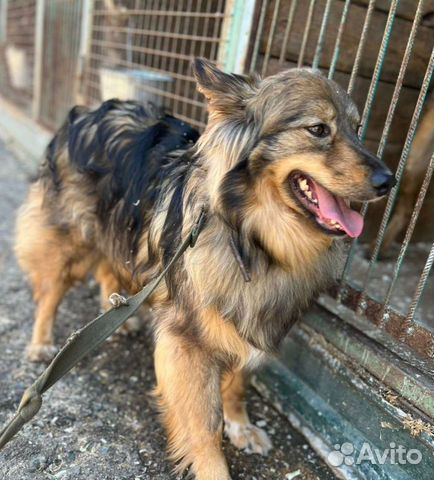 Рокси, будет счастьем для Вас