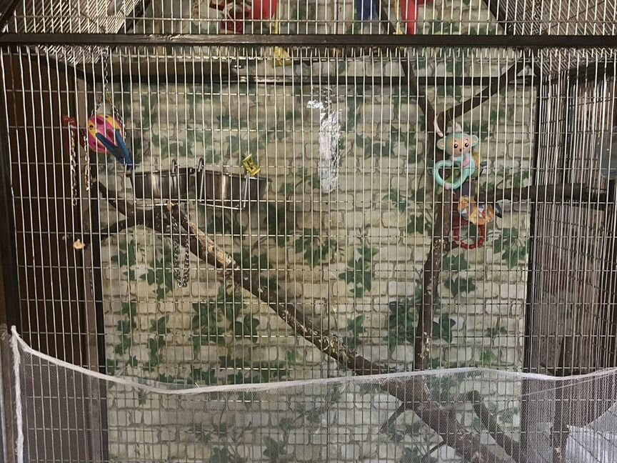 Клетка вольер для птиц