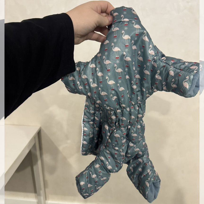 Одежда для собак мелких пород