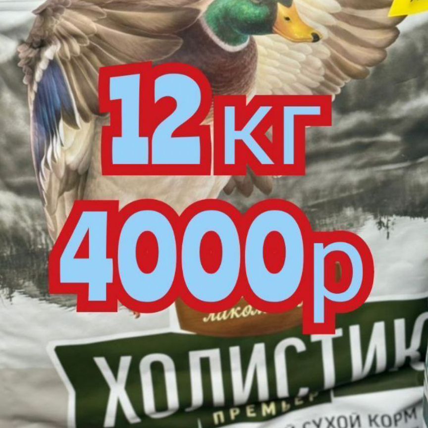 Сухой корм для собак