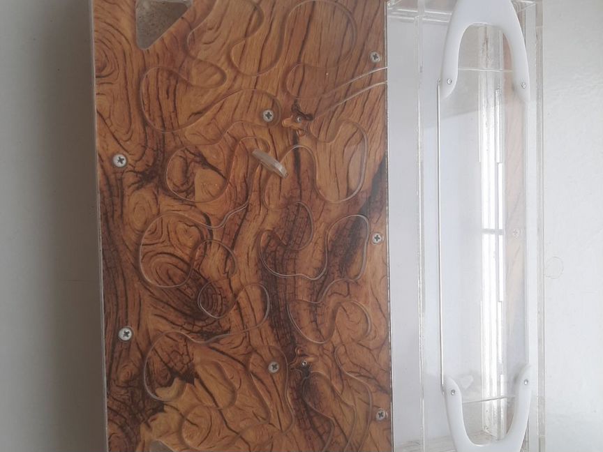 Муравьиная ферма antplanet