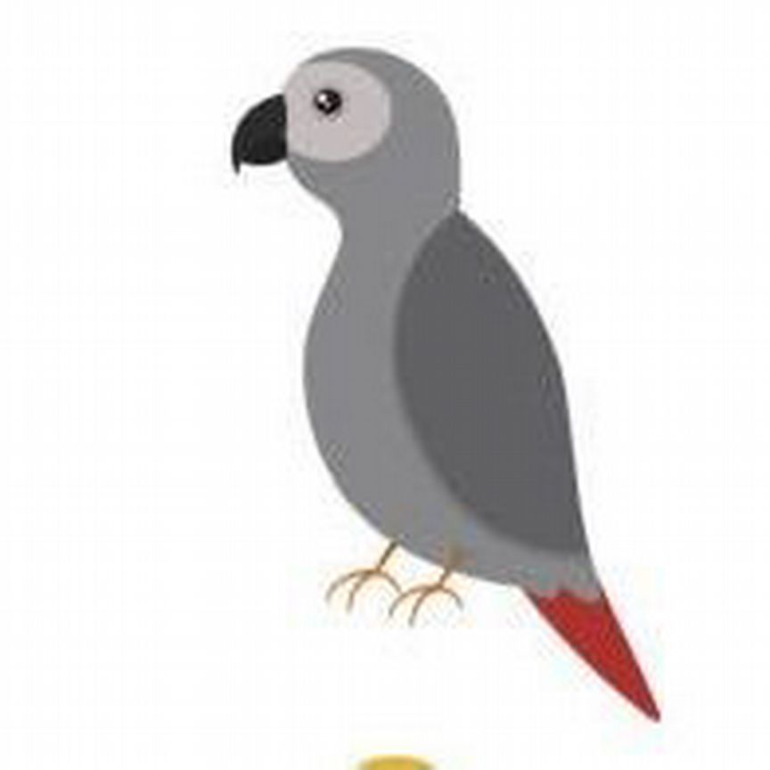 Крупный попугай