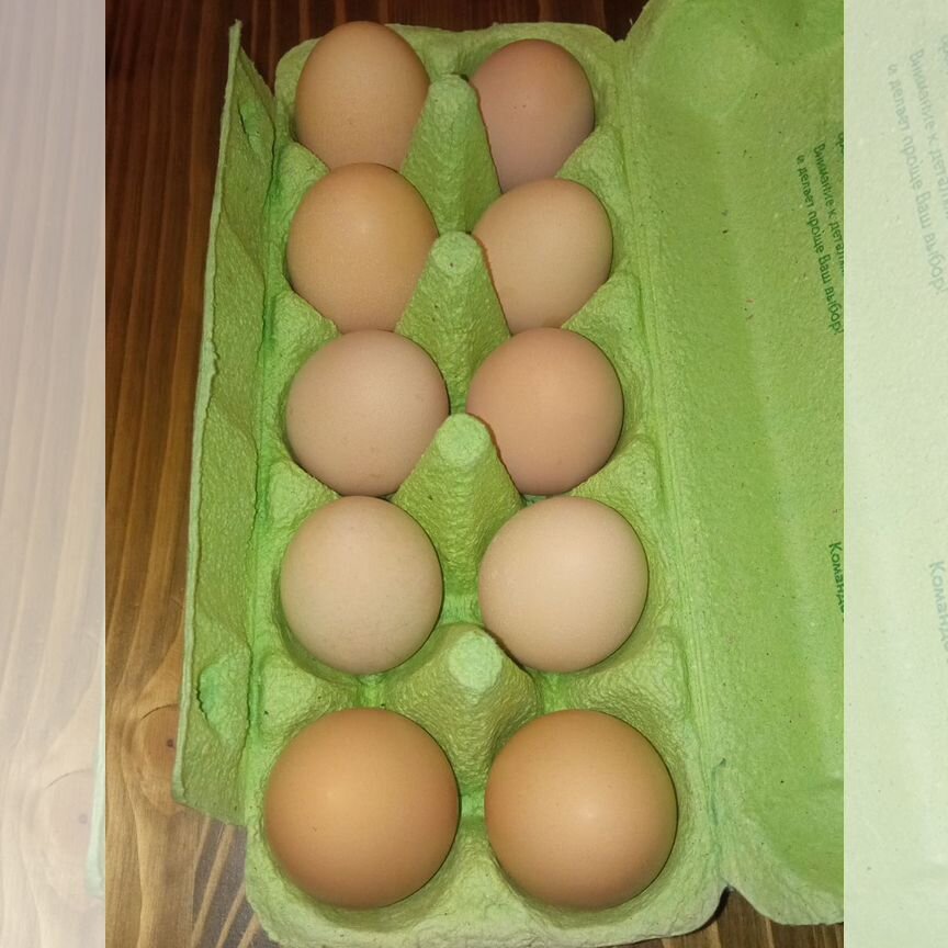Домашние куриные яйца
