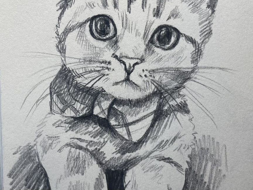 Рисунок домашнего питомца