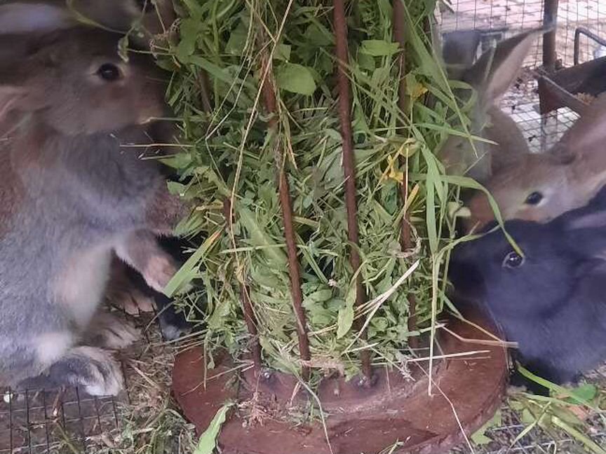 Кормушка для кроликов