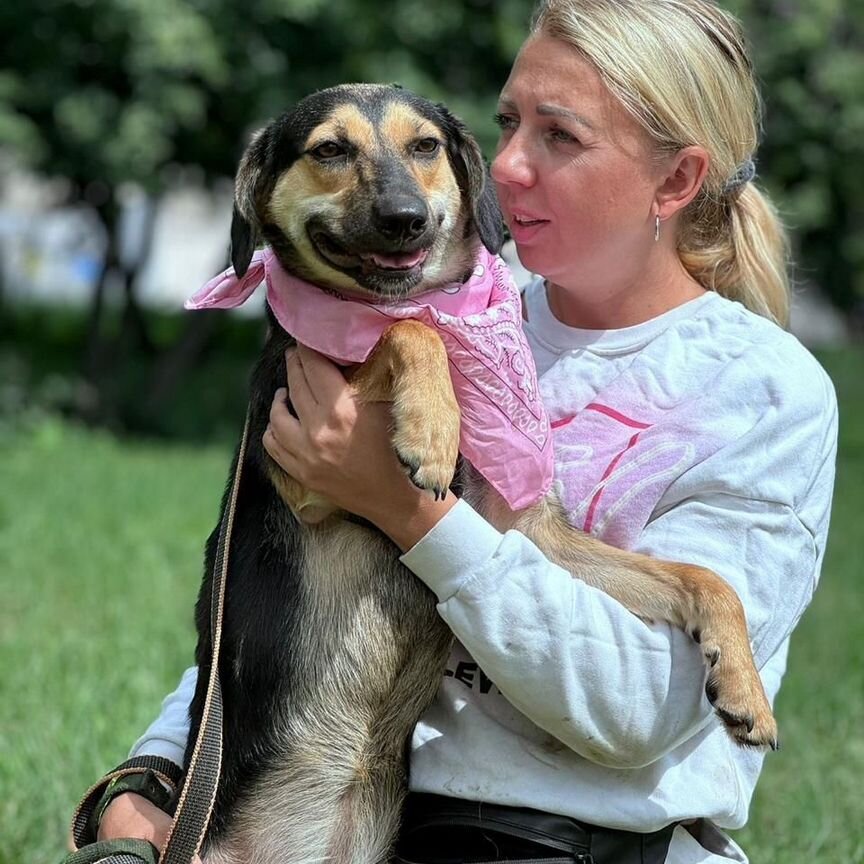 Тутси, собака из приюта в добрые руки