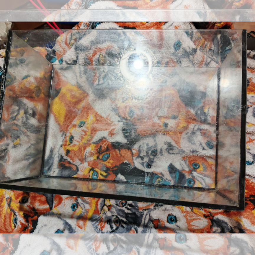 Аквариум на 19 литров без крышки