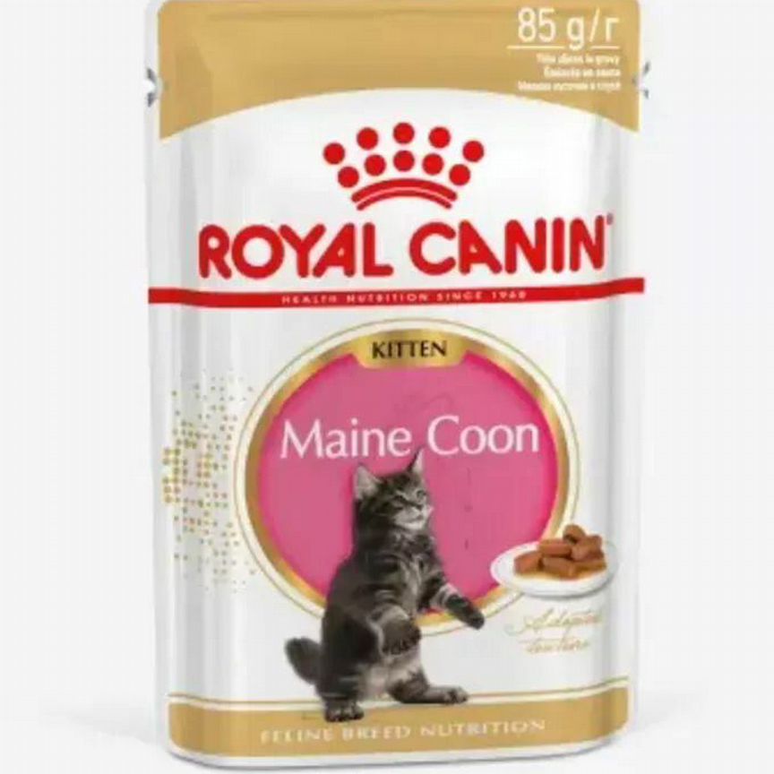 Royal canin kitten maine coon паучи