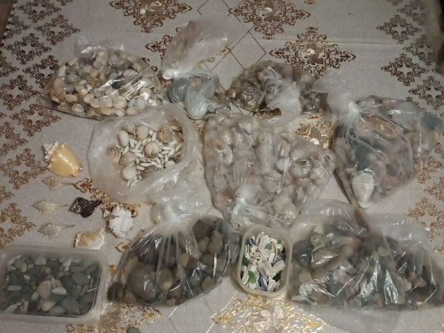 Камни, ракушки, шишки, каштан